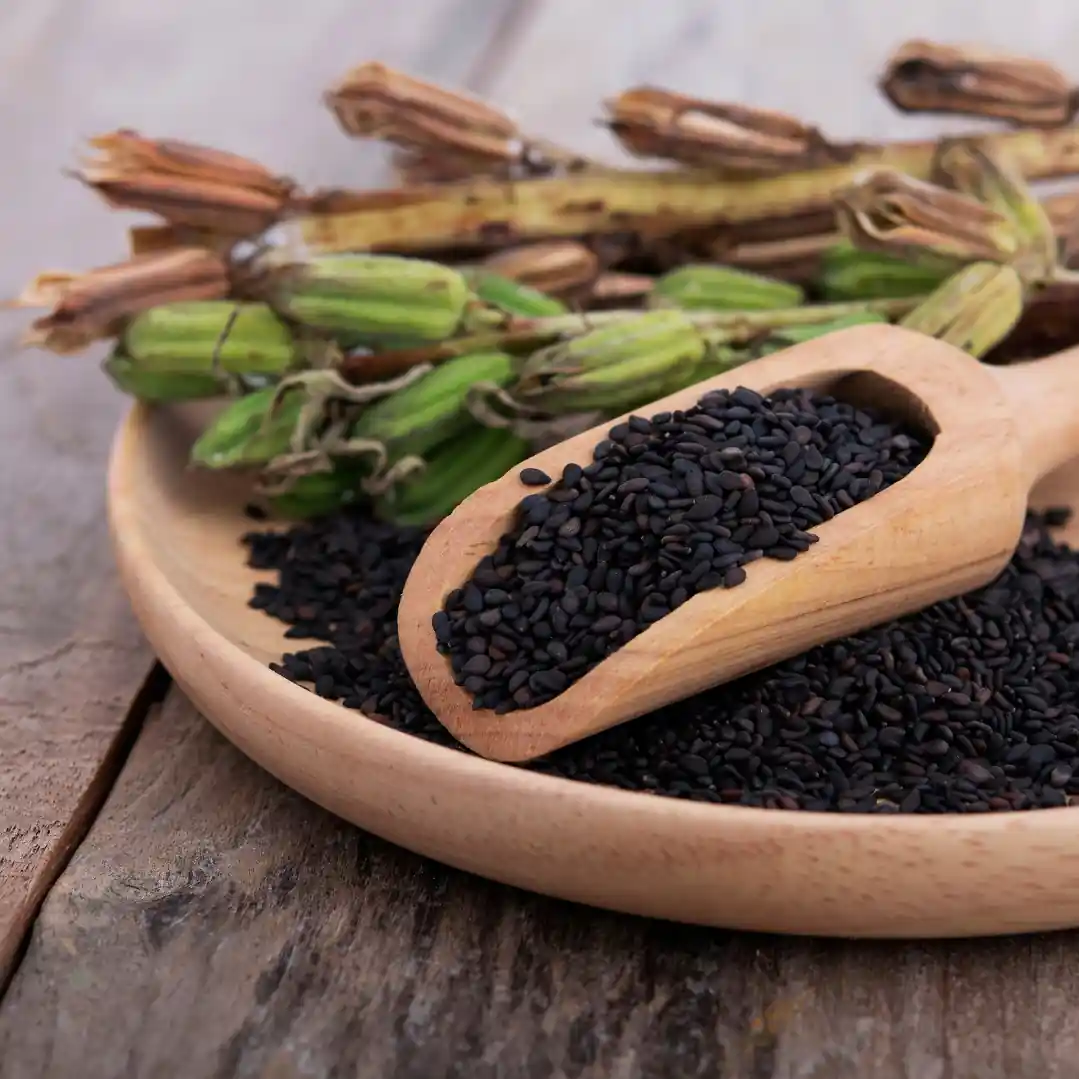 Susam crni 100g - biosvet shop zdrava hrana