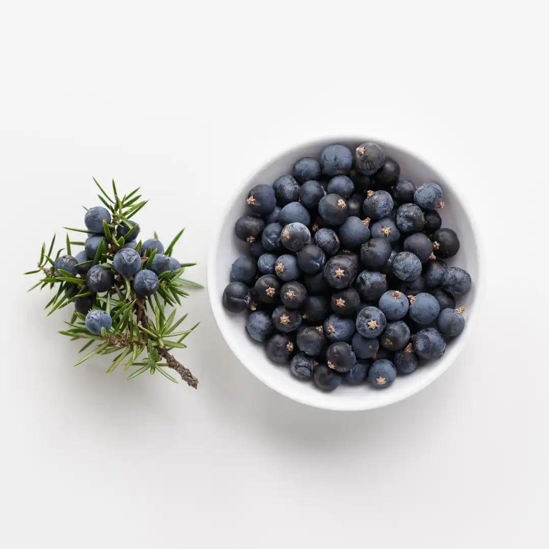 Čaj kleka 100g - biosvet shop zdrava hrana