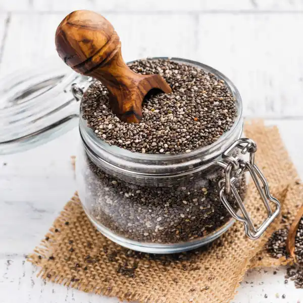 Čia (chia) seme organsko 100g - biosvet shop zdrava hrana